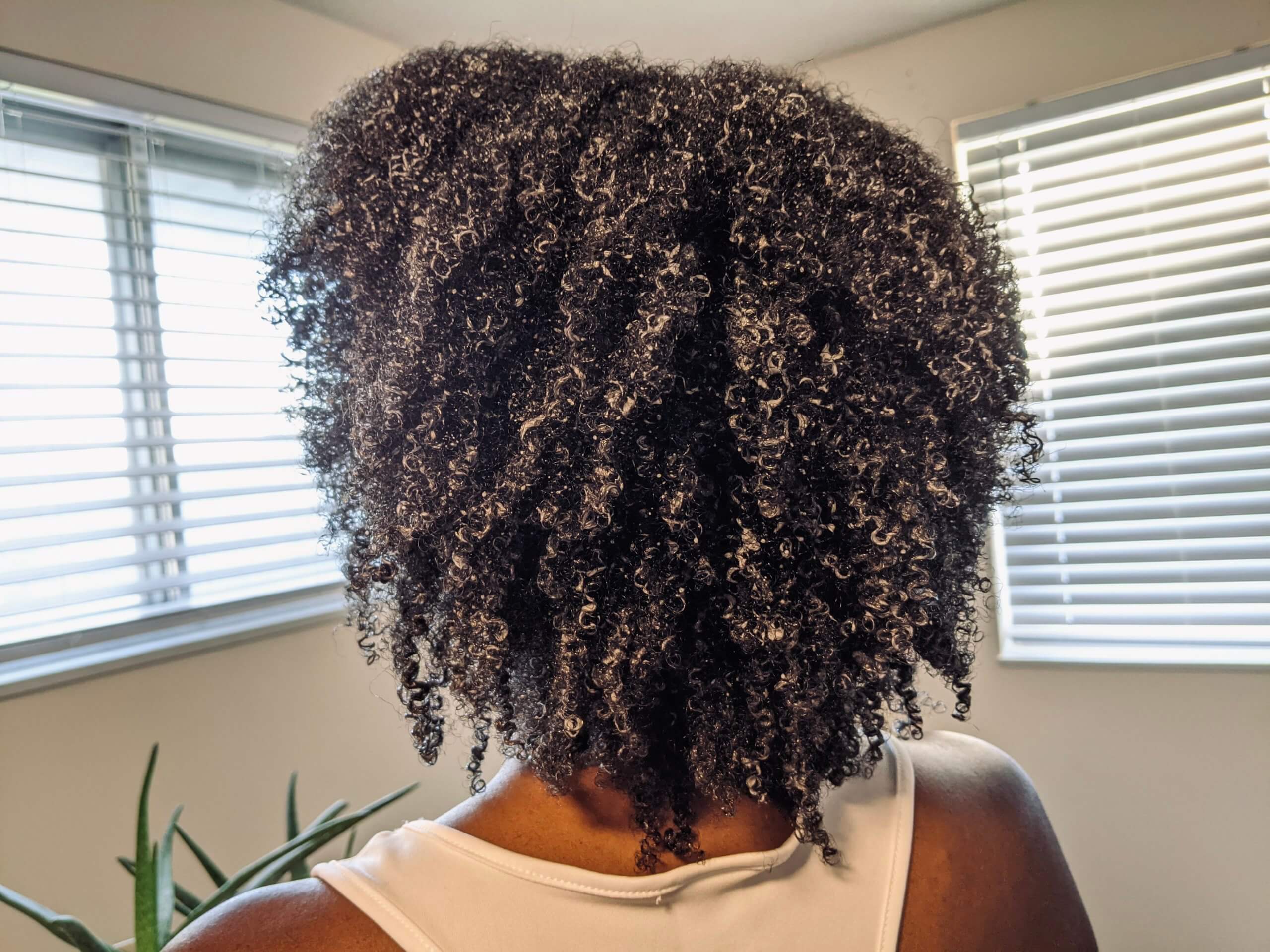 The Three Best Affordable Conditioners